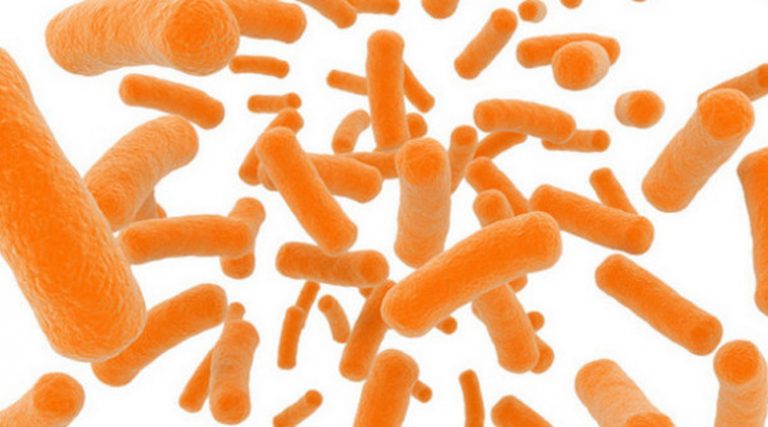 Could probiotic ease depression? Mouse study suggests so…